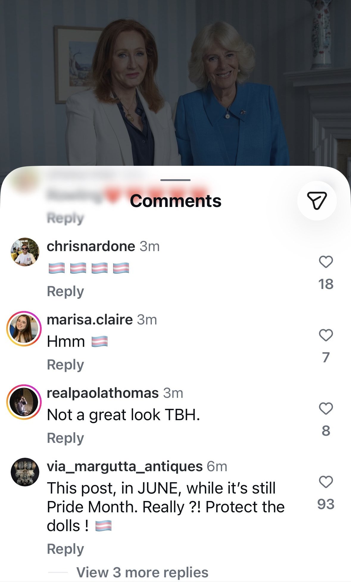 Palace faces online storm from trans activists after Queen's meeting ...