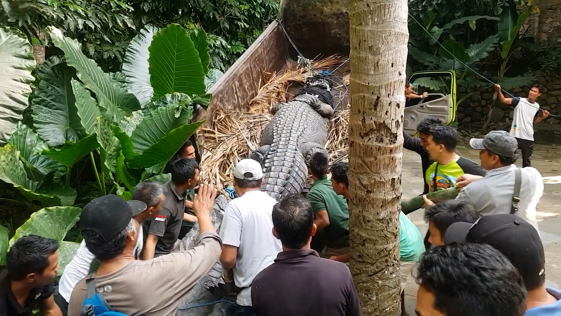The villager-eating crocodile | Monster croc finally caught