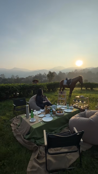 Why a sunrise picnic at Plataran Puncak is so special