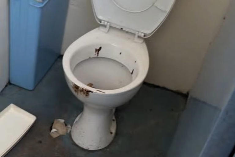 Disgusting, chaotic mess inside toilets at 'terrible' Welsh festival ...