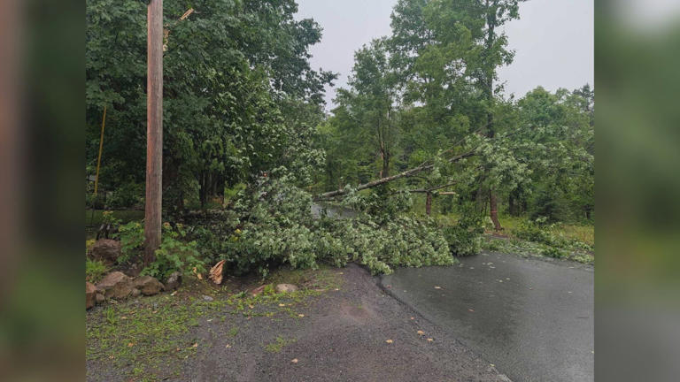 NWS to survey storm damage in Lewis County