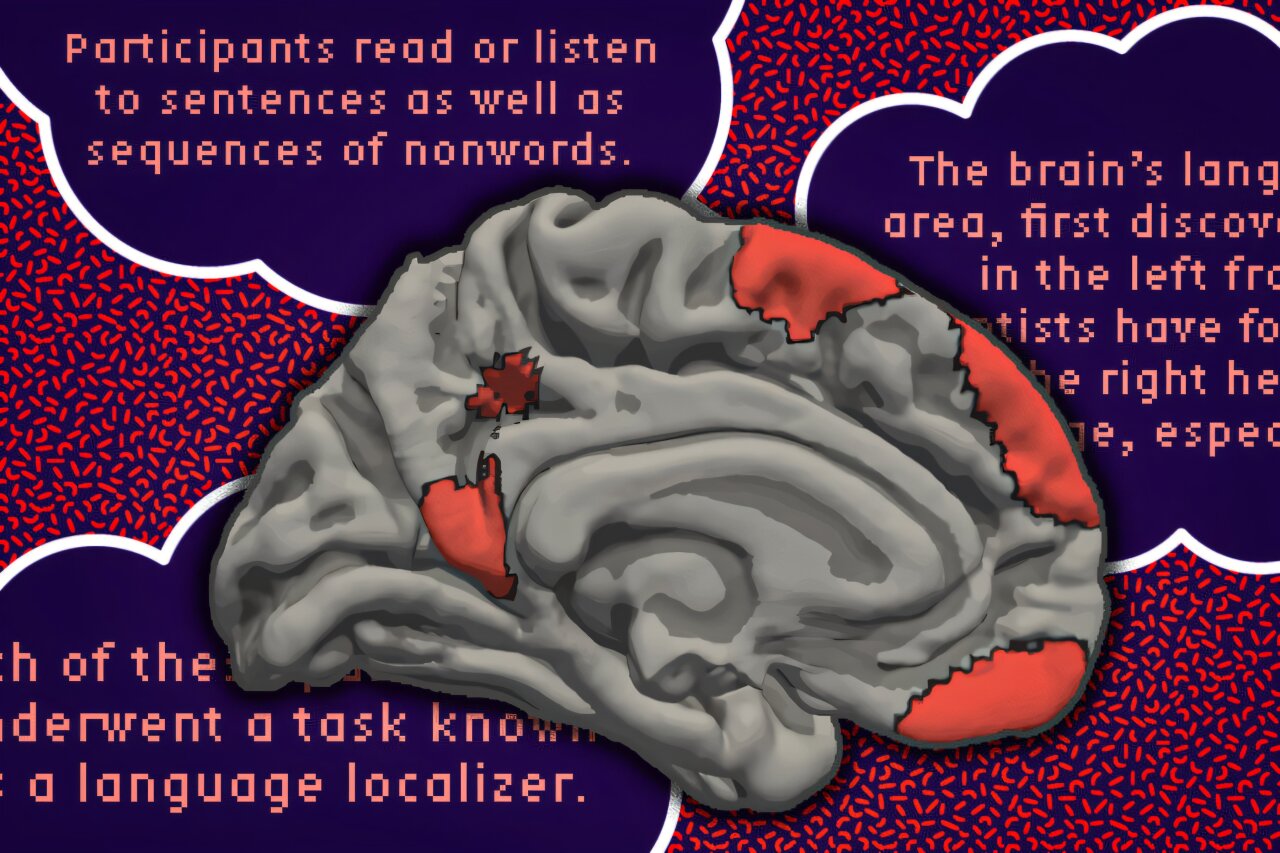 The brain's language network is more extensive than previously thought