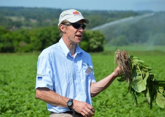 World-leading rotations strengthens British potato industry