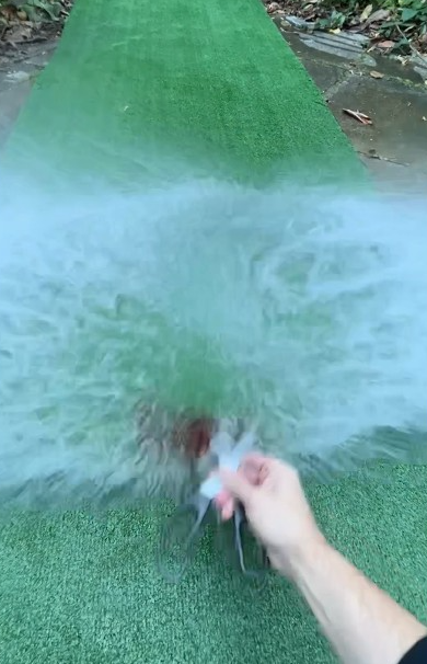 Watch Fishy blow the most satisfying pop ever
