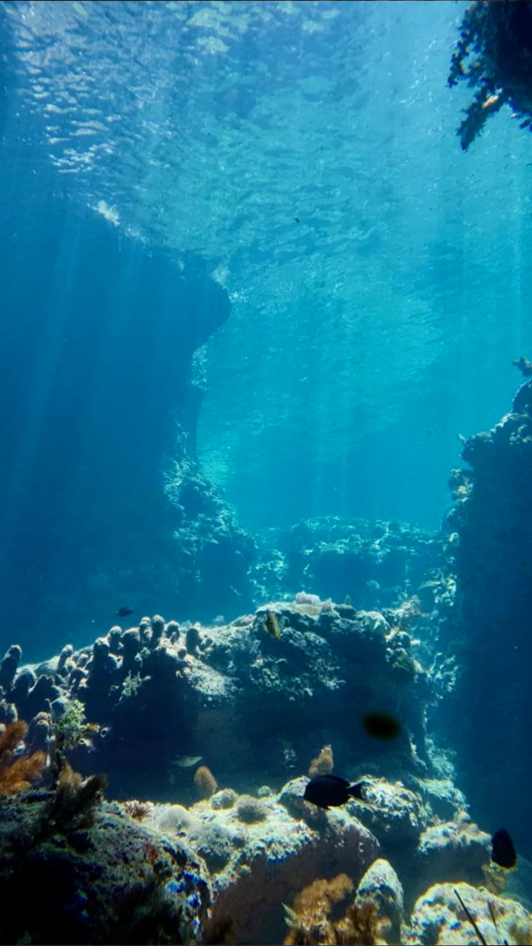 World's oceans record hottest June in history