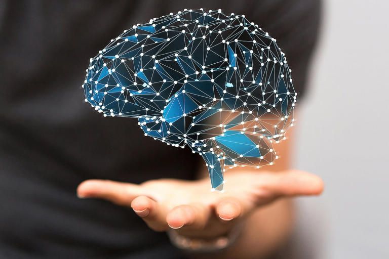 Exposure to ovarian hormones linked to larger volumes in brain regions