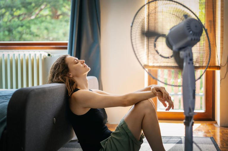The household devices making your home hotter especially at certain ...