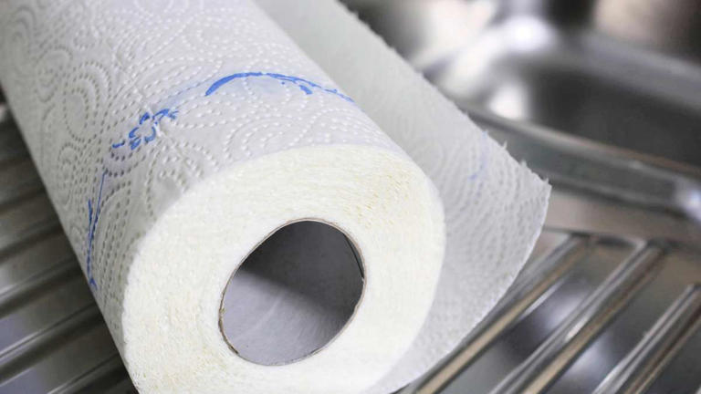 Küchenrolle im Restmüll oder Altpapier entsorgen? Müll-Irrtum aufgeklärt