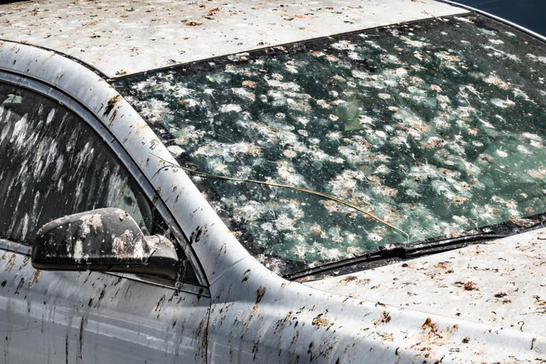 Remove hard bird poo from car windows using just two ingredients