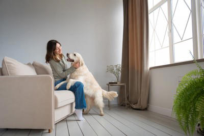 犬との関係性が悪化する「絶対NG行為」5選 愛犬からの信頼を失う飼い主の行動とは?