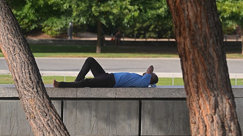 Calor extremo: Lisboa y otros 3 distritos en alerta roja