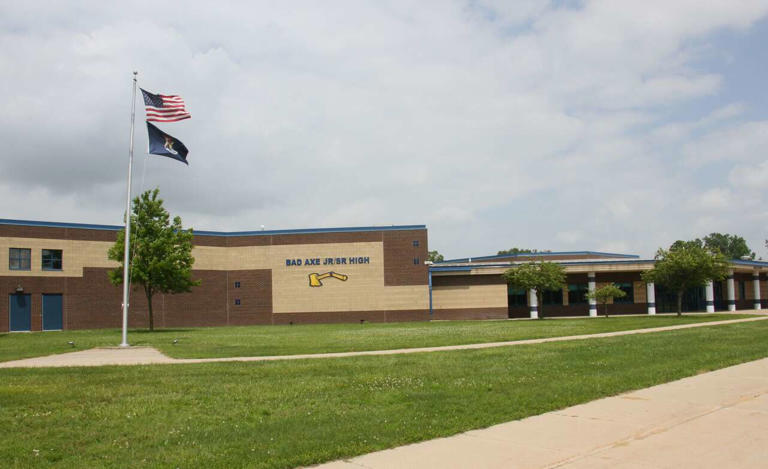 Bad Axe superintendent says school consolidation work is on track for ...