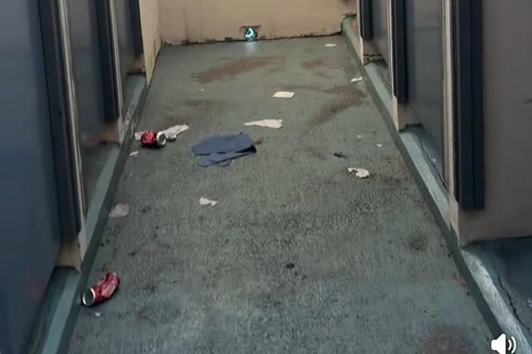 Disgusting, chaotic mess inside toilets at 'terrible' Welsh festival ...
