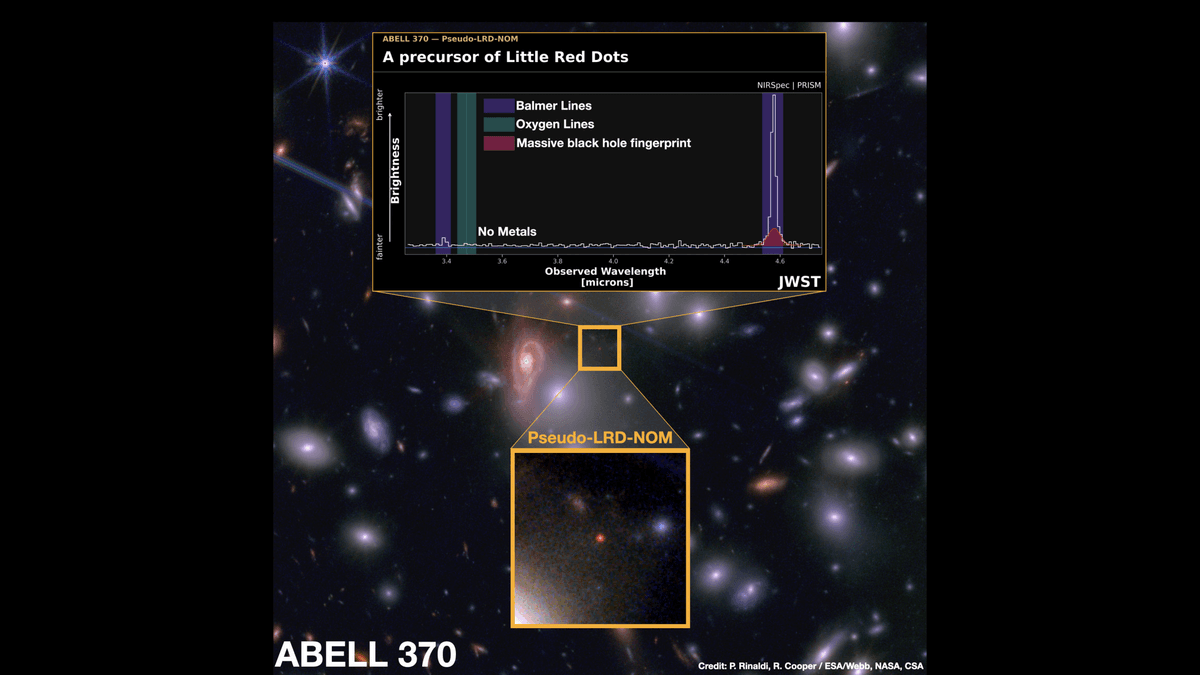 This might be the first seen progenitor of the universe's mysterious ...