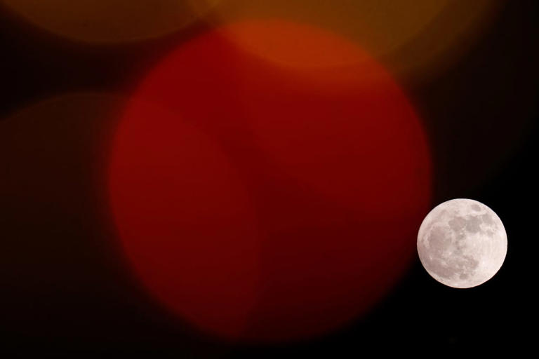 Firefly, 2 other stocks surge on NASA moon mission contracts