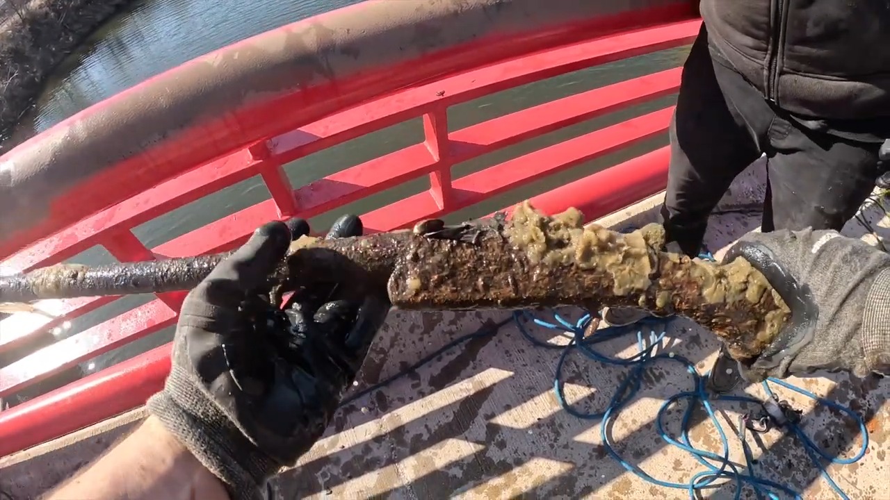 They found a magazine first - then a shotgun came out of the river ...