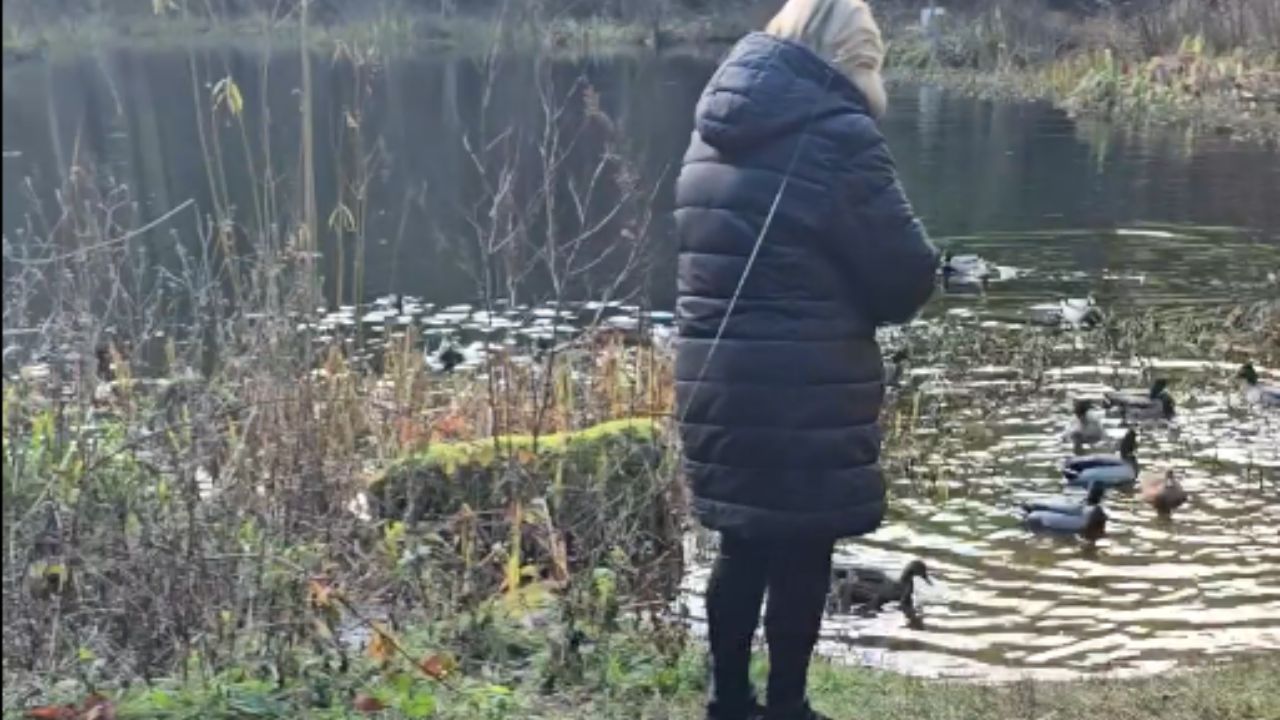 Woman's duck-watch turns hilarious as she falls for son-in-law's fake ...