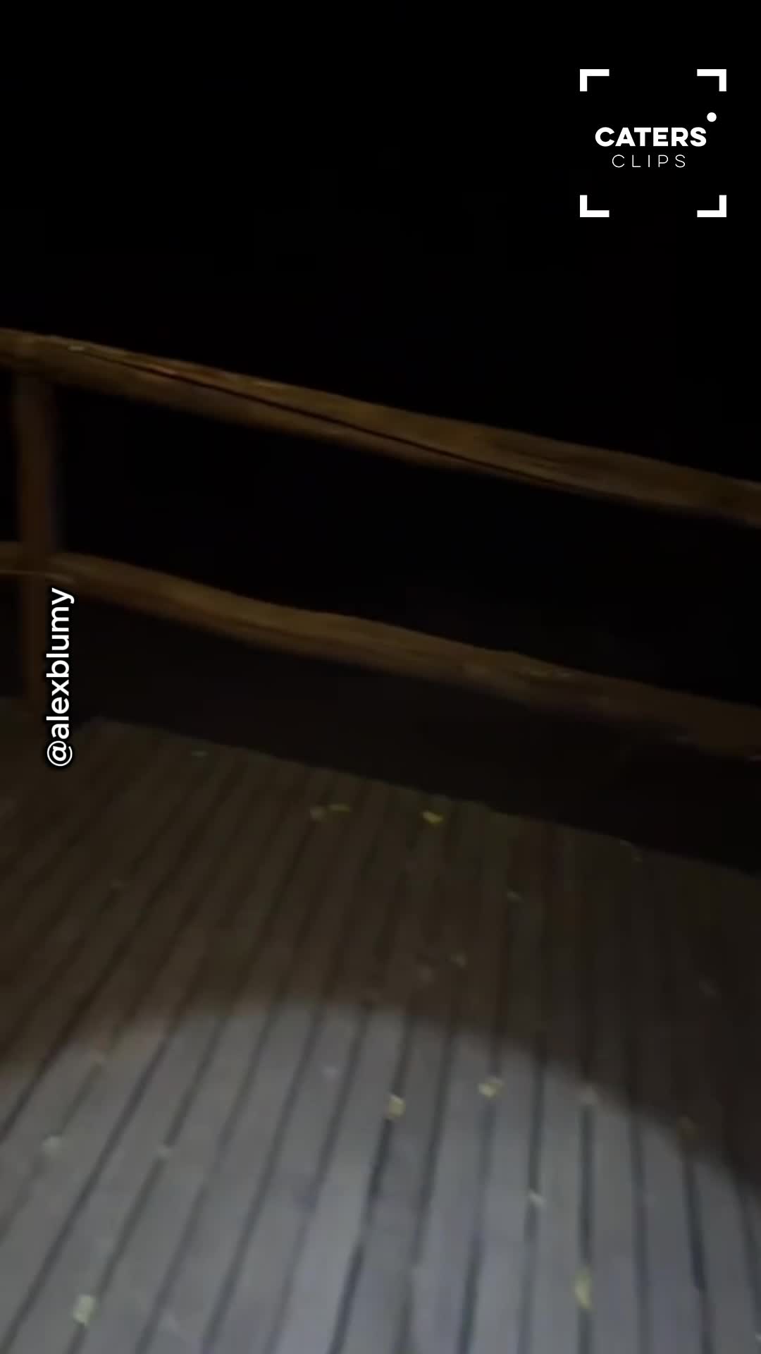 Flashlight reveals unexpected guest in the dark