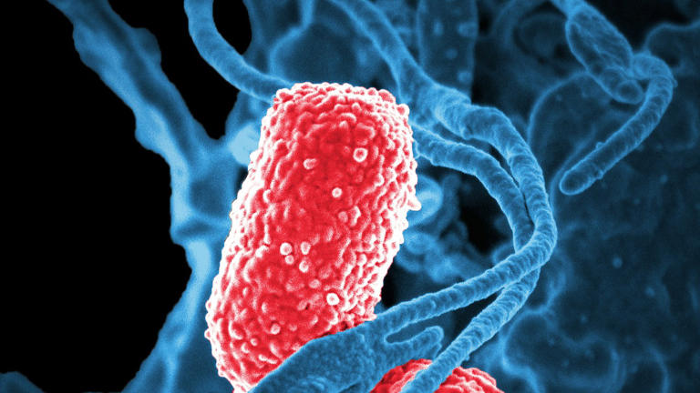 The FDA approved a first-of-its-kind cell therapy for blood-cancer ...