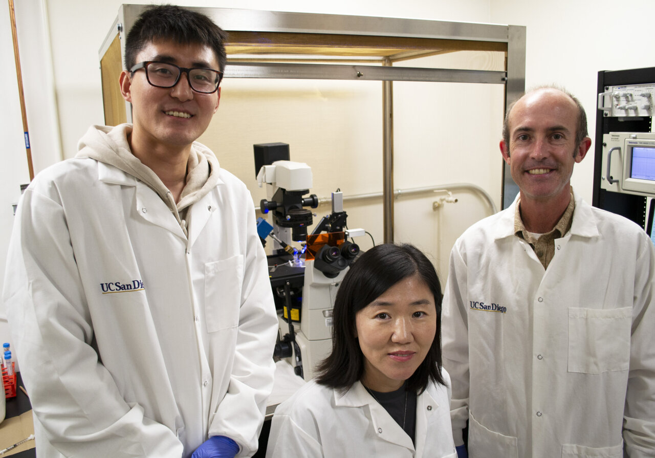 Rare muscle disorder mutations reveal a precision medicine strategy