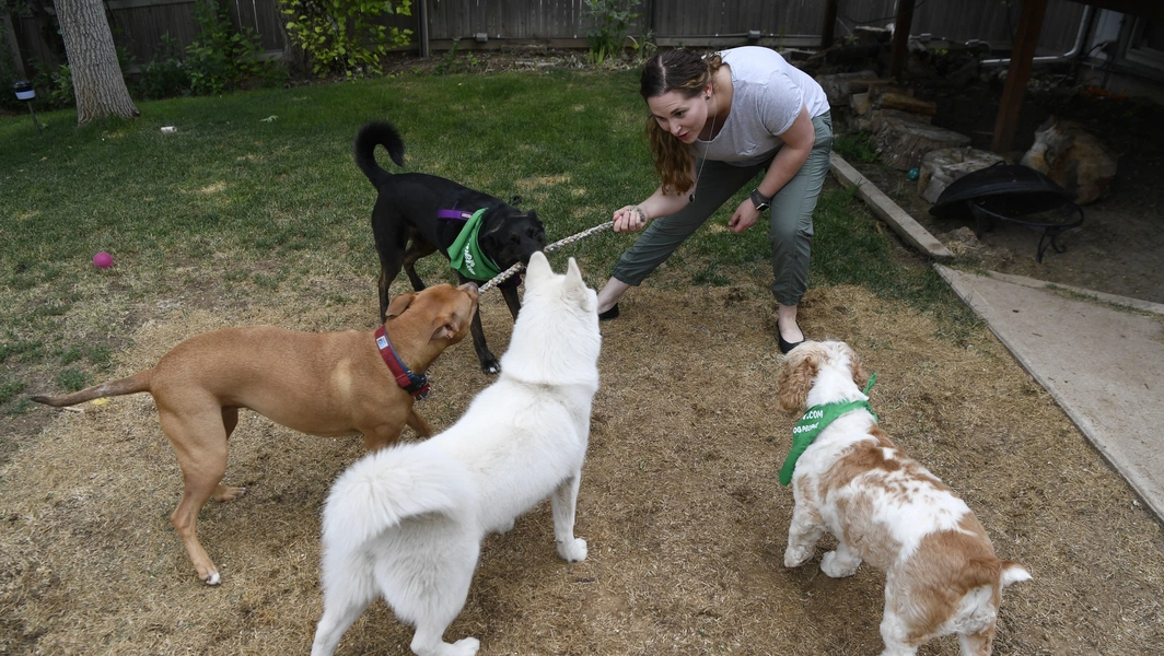 Daily Paws outlines when dogs are better off at home