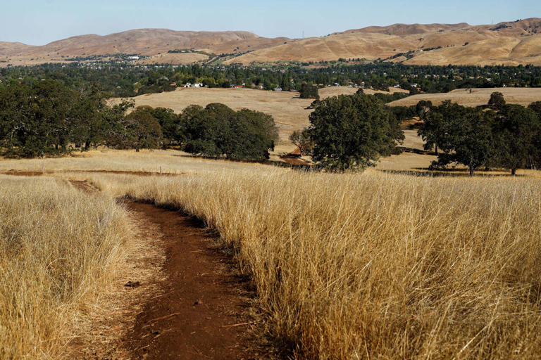 Where California stands on fire risk as midsummer arrives