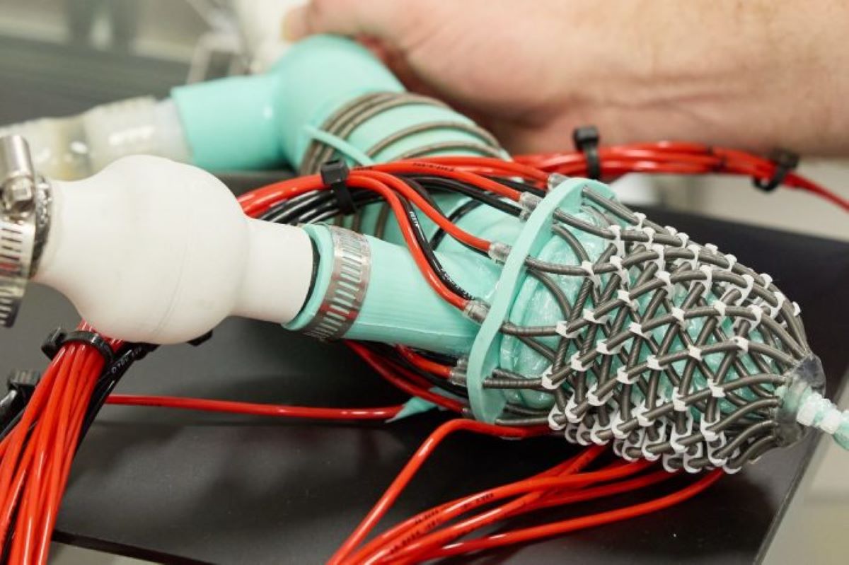 Researchers built a silicone heart that beats, bleeds, and breaks like ...