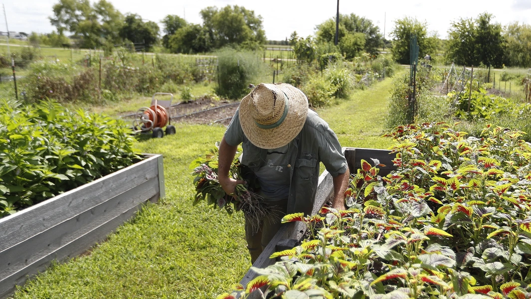 July garden checklist offers region-specific summer strategies