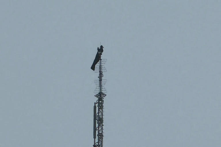 Protesters climb Empire State Building with a banner to hang