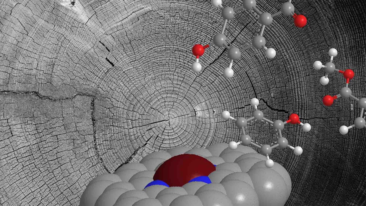 Single-atom catalyst turns lignin into valuable chemicals with near ...