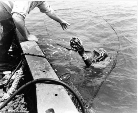 Shell, stone, and sea: The abalone economy that once touched Point Loma ...