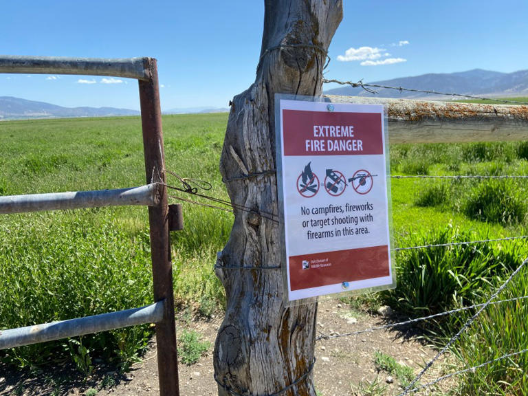 Firearm target shooting restricted in wildlife management areas due to ...