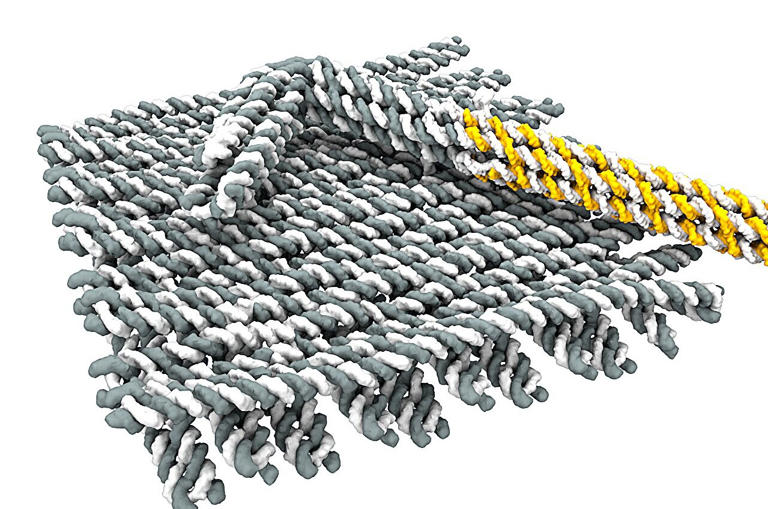 DNA-based nanoswitch can flip in milliseconds and stay in one state for ...