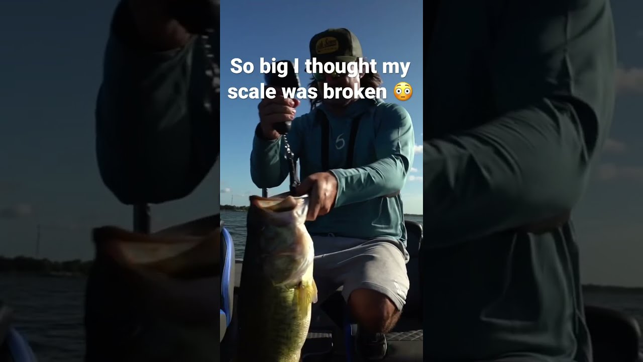 Huge fish catch makes me think the scale is broken