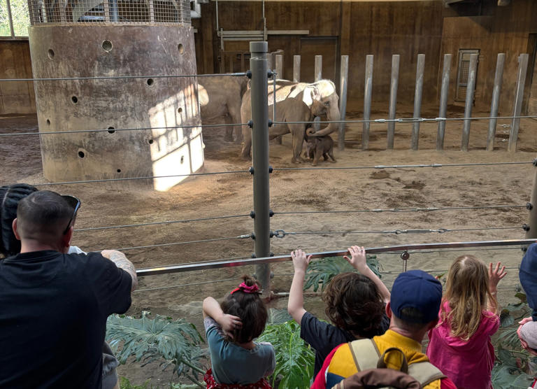5 things to do with kids in Portland’s Washington Park this summer
