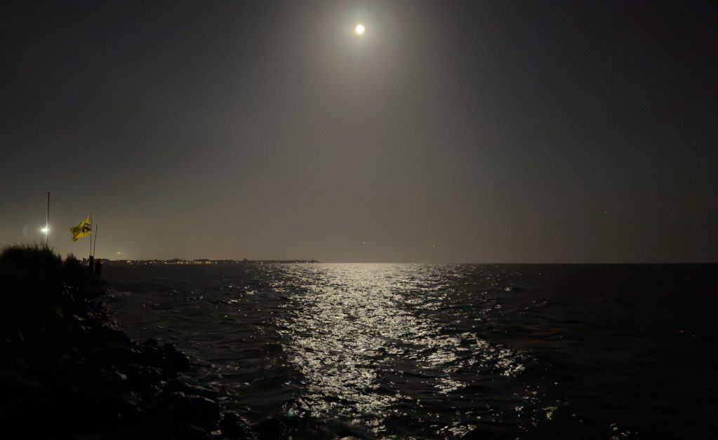 Under full moon, native fish arrive to dance on Bay shores in annual ...