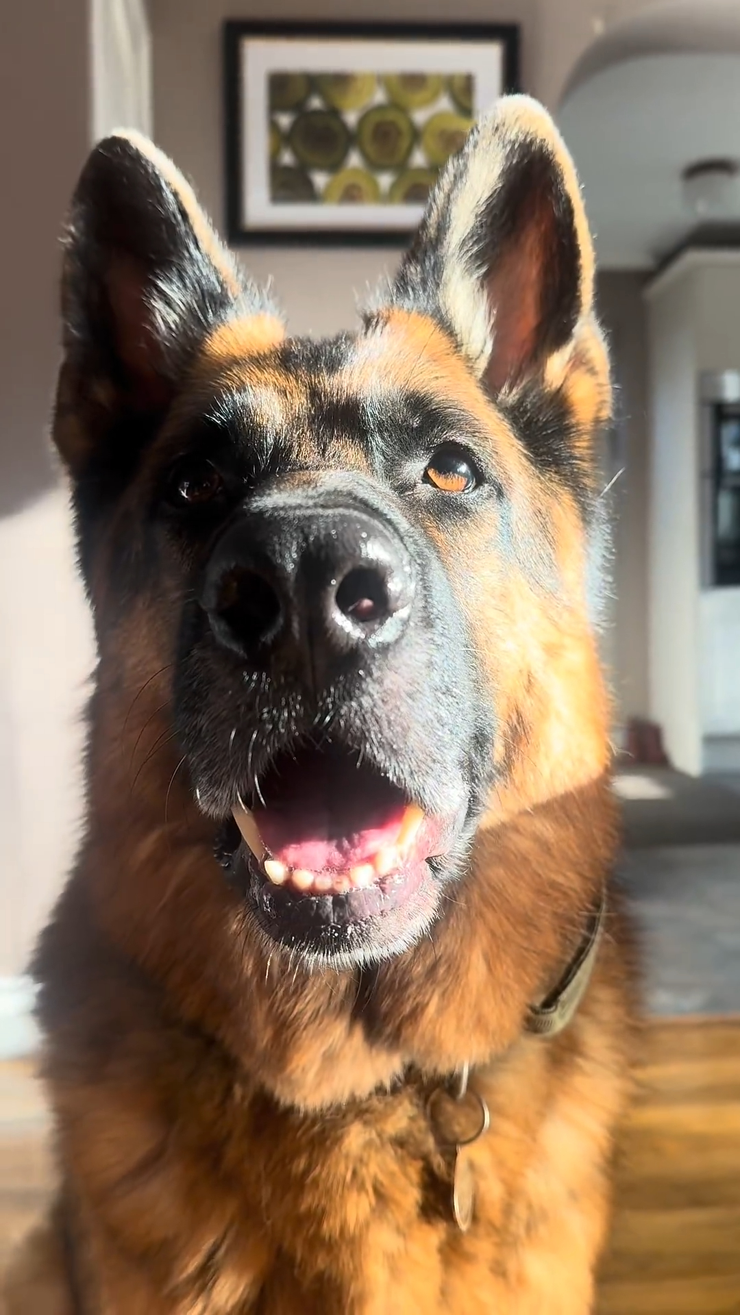 Cooper reaction to spicy grape juice