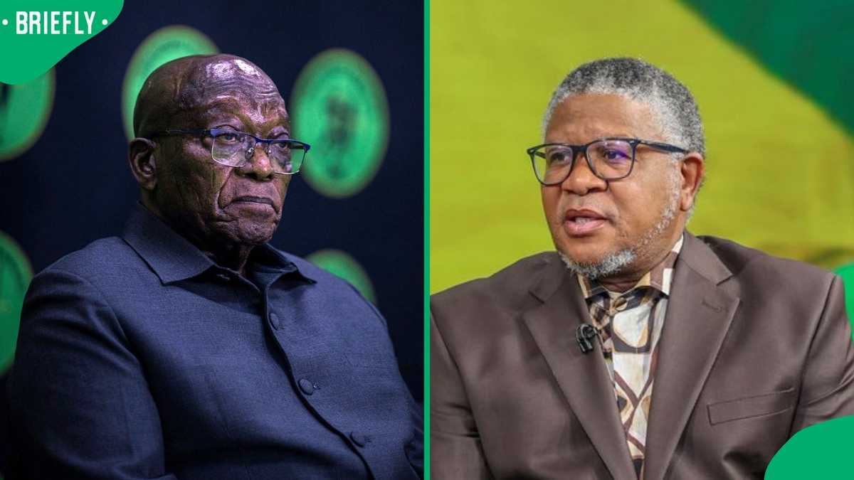 Fikile Mbalula slams Jacob Zuma over visit with wanted Gupta brother in ...