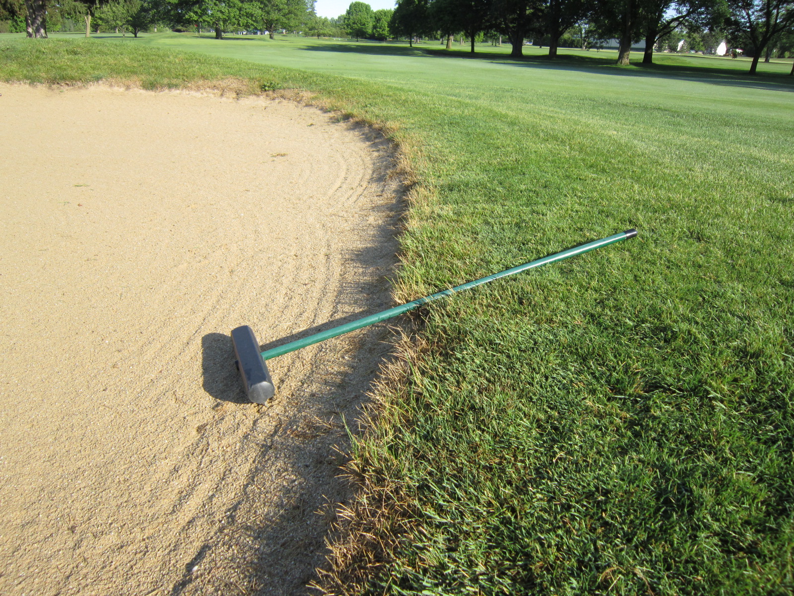 Should you leave the rake in or out of a bunker on the golf course?