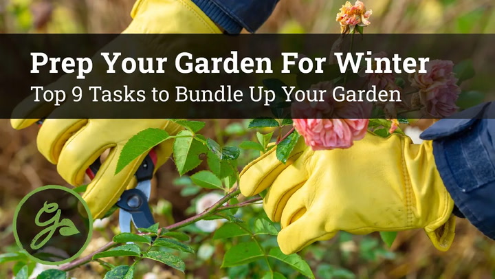 How to prepare your garden for winter: Cleanup & protection tips