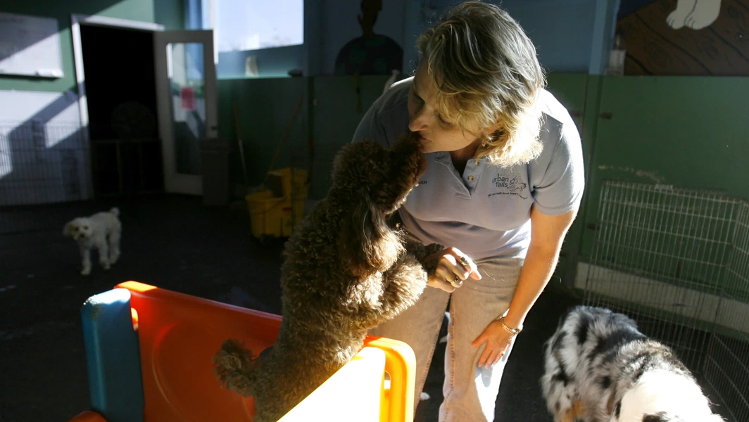 Daily Paws outlines when dogs are better off at home