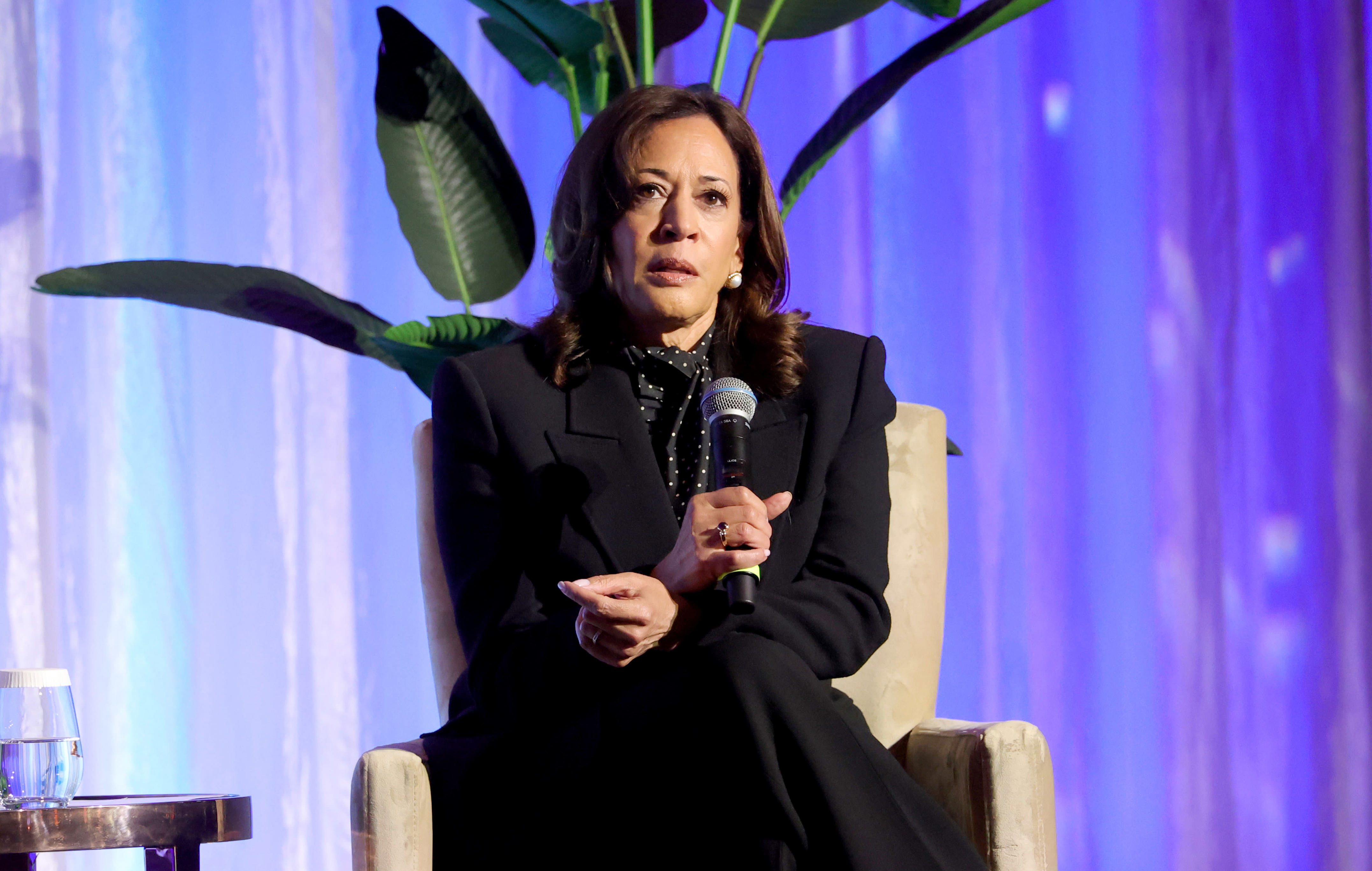 Harris courting Mamdani, pro-Palestinian activists in effort to win ...