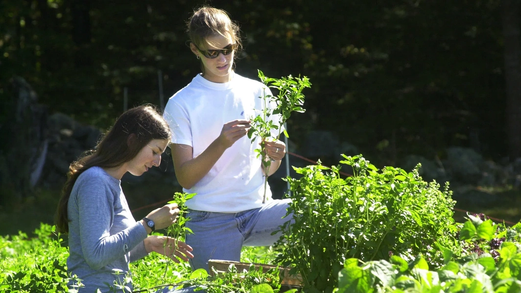July garden checklist offers region-specific summer strategies