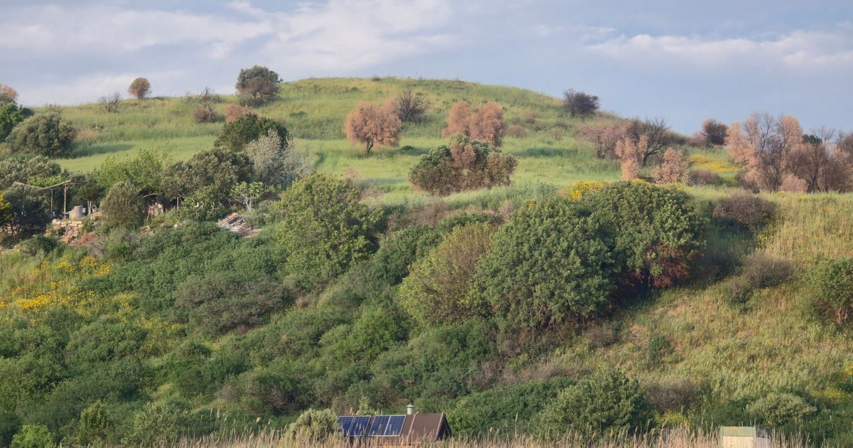 Living off-grid for a year revealed 11 things nobody warned me about