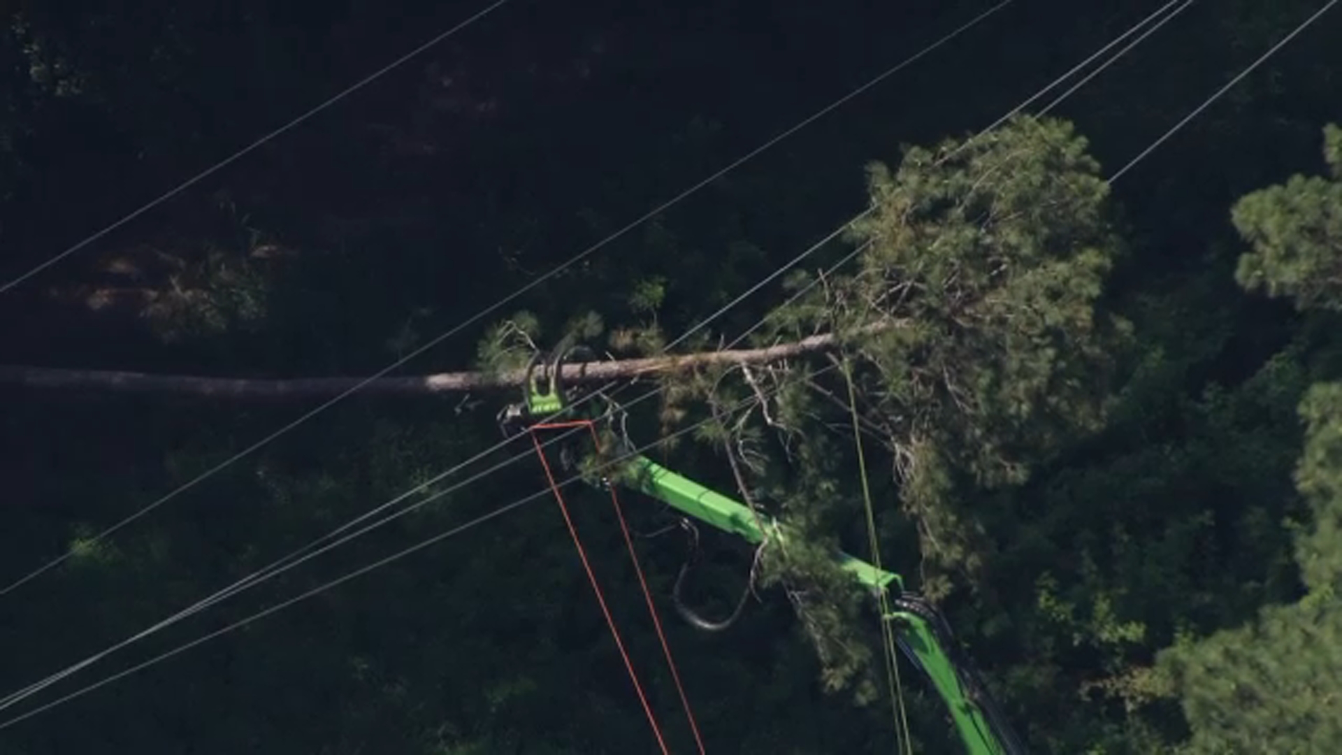 Thousands regain power after tree knocks out electricity for Durham ...