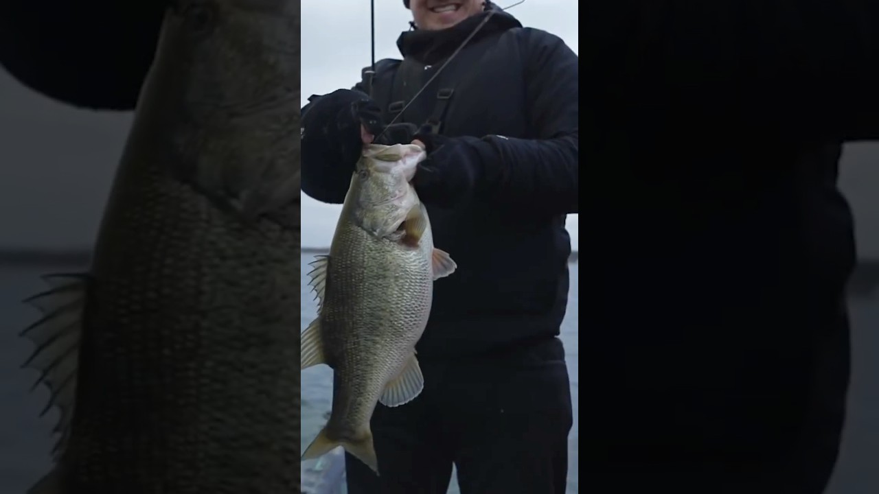 Massive fish caught during a freezing Texas winter storm
