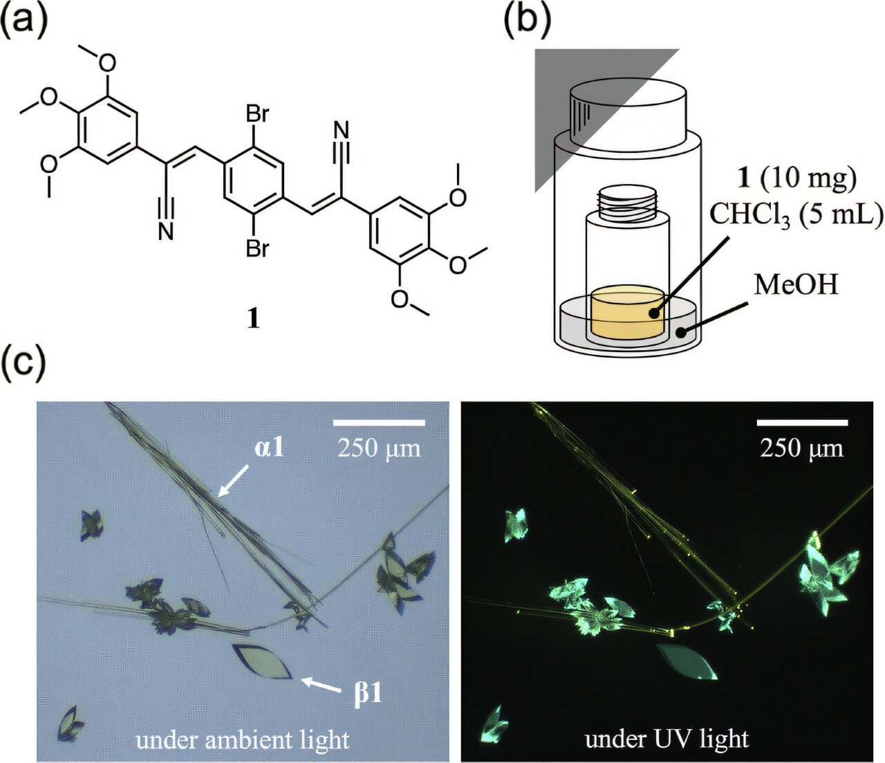 Crystal-design principle reveals how competing molecular forces control ...