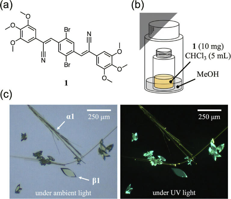 Crystal-design principle reveals how competing molecular forces control ...