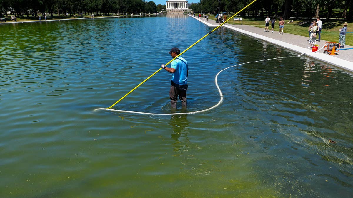 Trump blames vandalism for reflecting pool issues amid arrest of Olympian