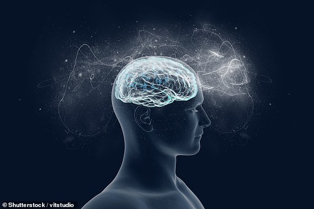Scientists propose radical new theory of consciousness - it doesn't ...